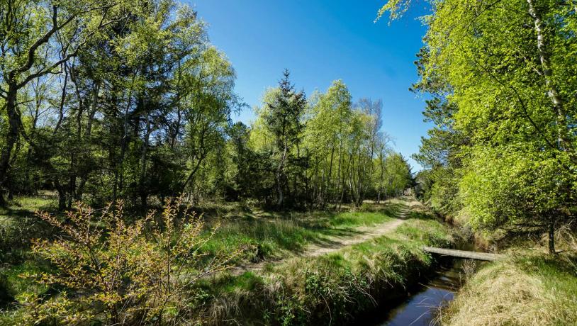 Matilde Grues guide til Skagen: Her kan du opleve det nye Skagen | Enjoy Nordjylland